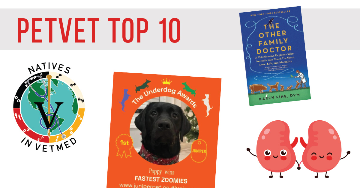 Pet Vet Top 10