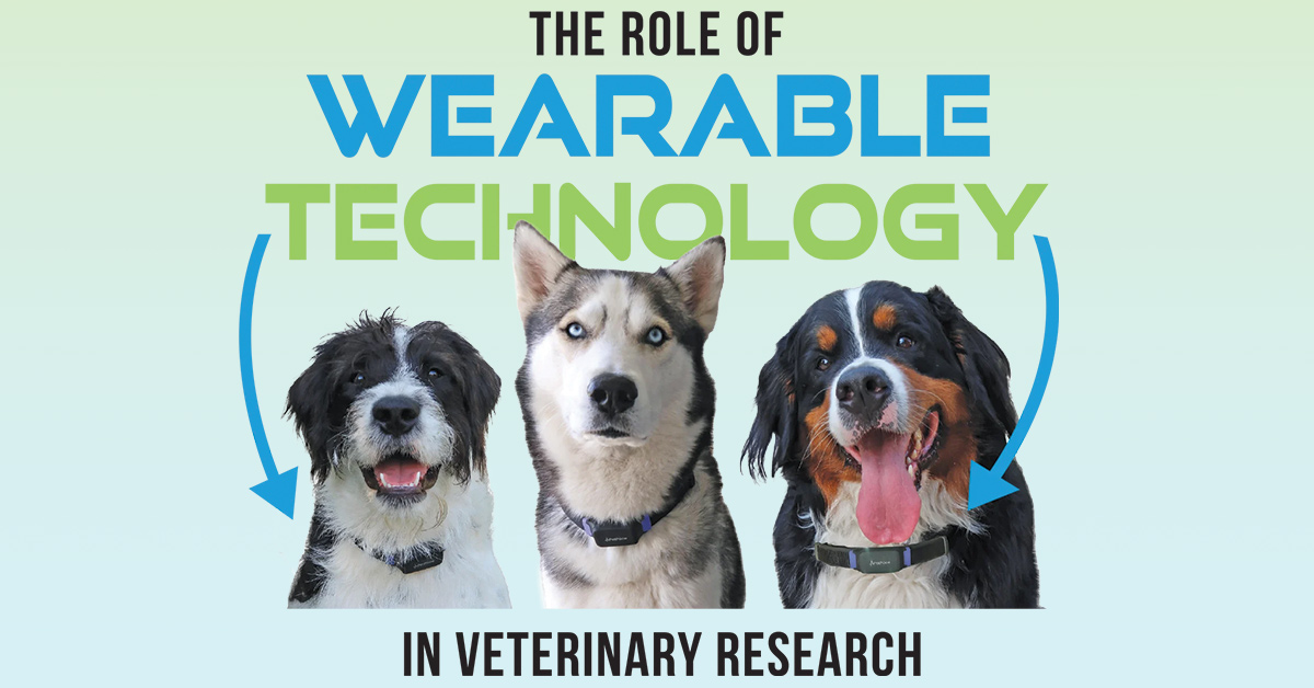 The Role of Wearable Technology in Veterinary Research