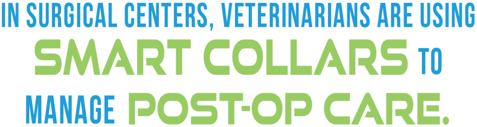 The Role of Wearable Technology in Veterinary Research