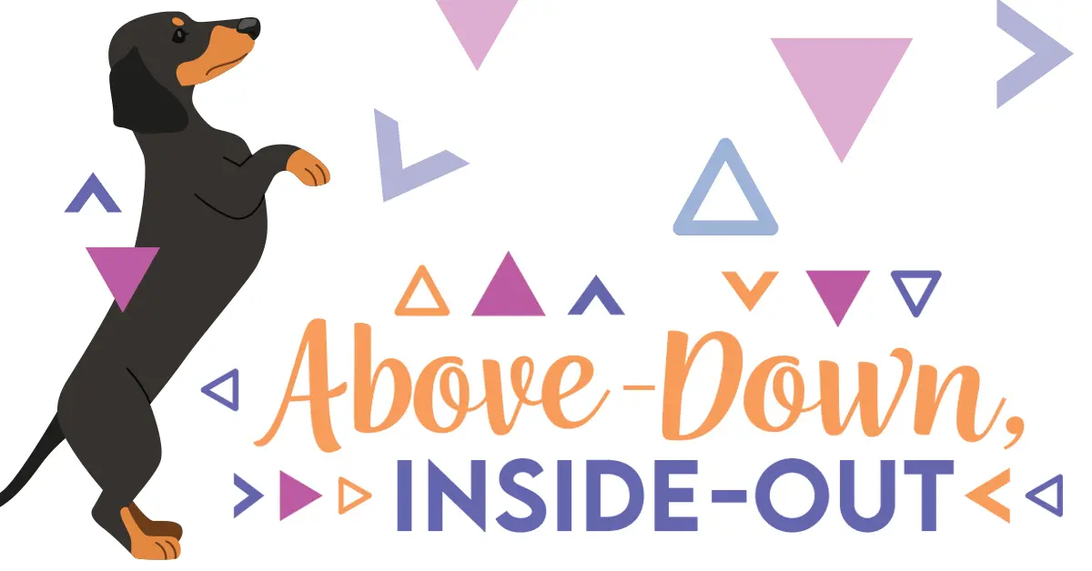 Above-Down, Inside-Out: Understanding the Chiropractic Connection to ...