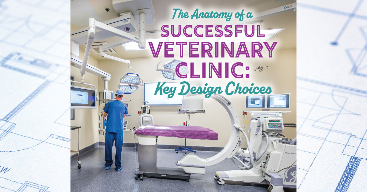 The Anatomy of a Successful Veterinary Clinic: Key Design Choices