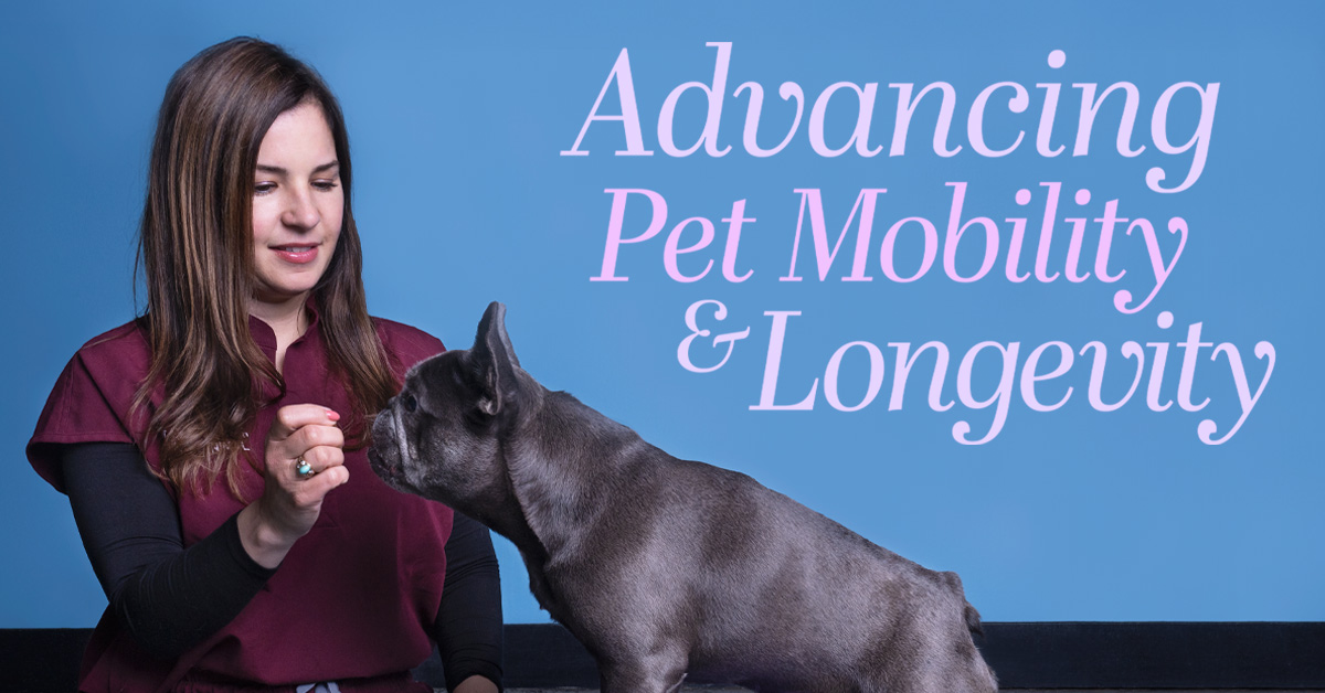 Advancing Pet Mobility and Longevity: A Multimodal Approach