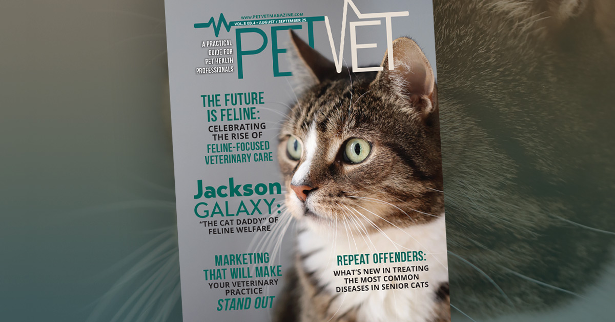 PetVet Magazine