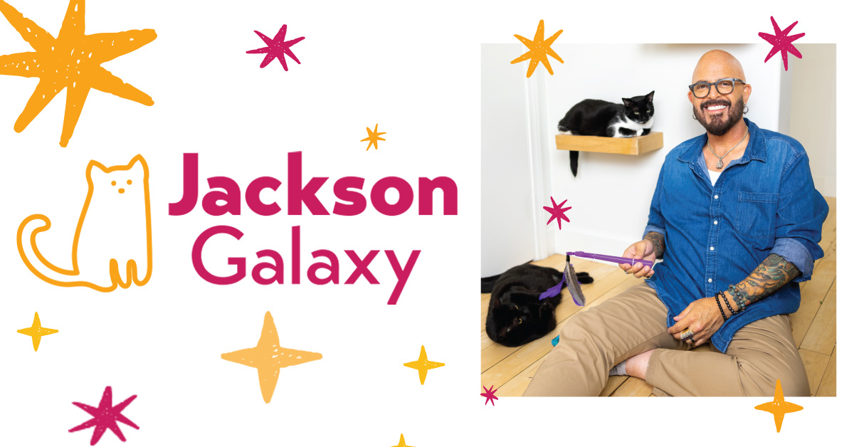 Jackson Galaxy: “The Cat Daddy” of Feline Welfare